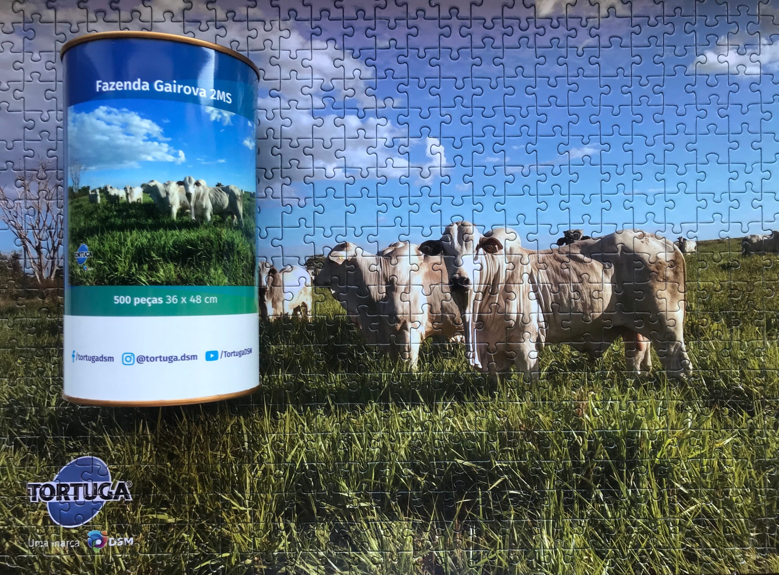 galeria de fotos dsm (2) – Puzzle Me